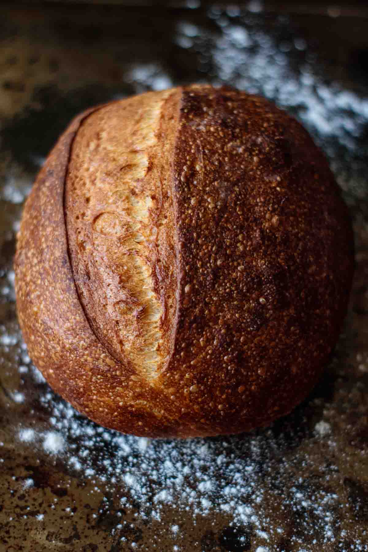 Sourdough Bread for Beginners| Basic Recipe + Tips – Milk and Pop