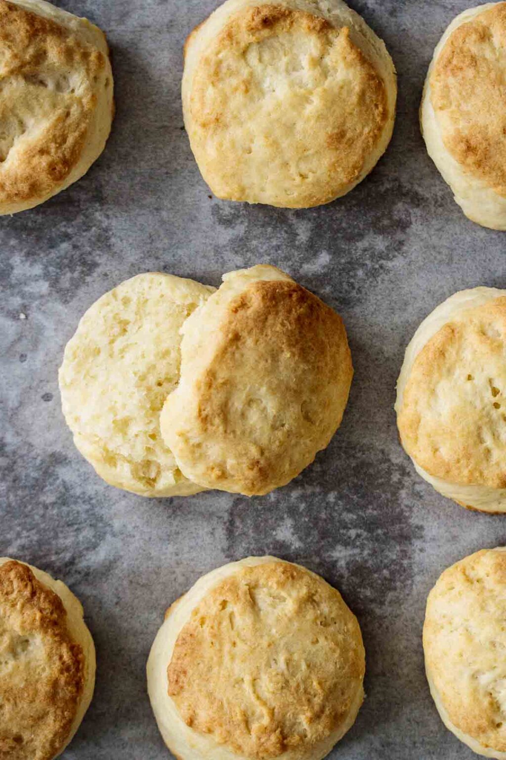 Easy Tea Biscuits With Cream – Milk and Pop