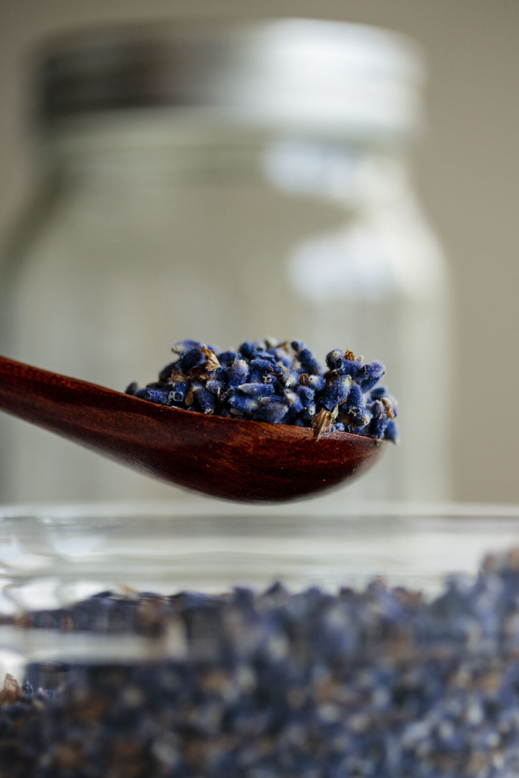 Lavender Extract Recipe (for baking and drinks) – Milk and Pop