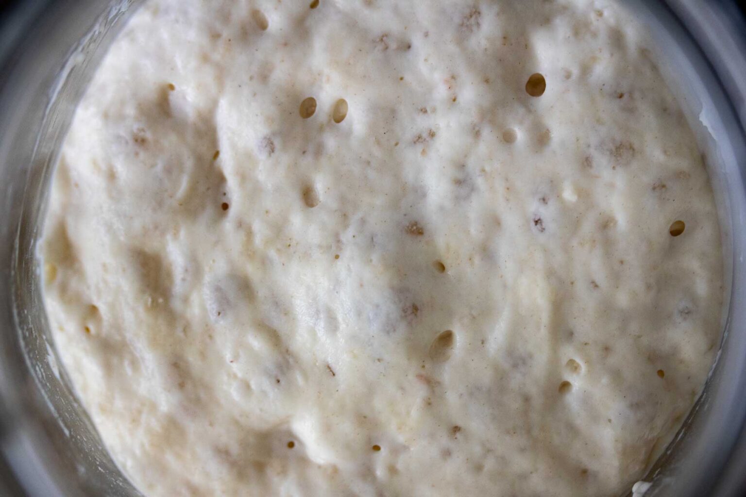 How to make a poolish starter for bread and pizza – Milk and Pop