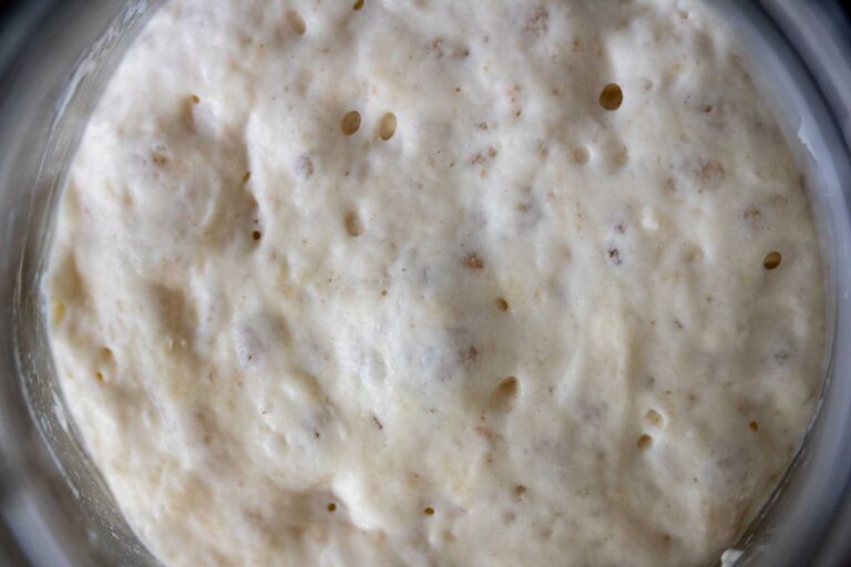 How to make a poolish starter for bread and pizza – Milk and Pop