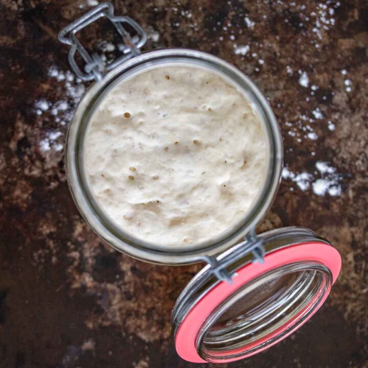 How to make a poolish starter for bread and pizza – Milk and Pop