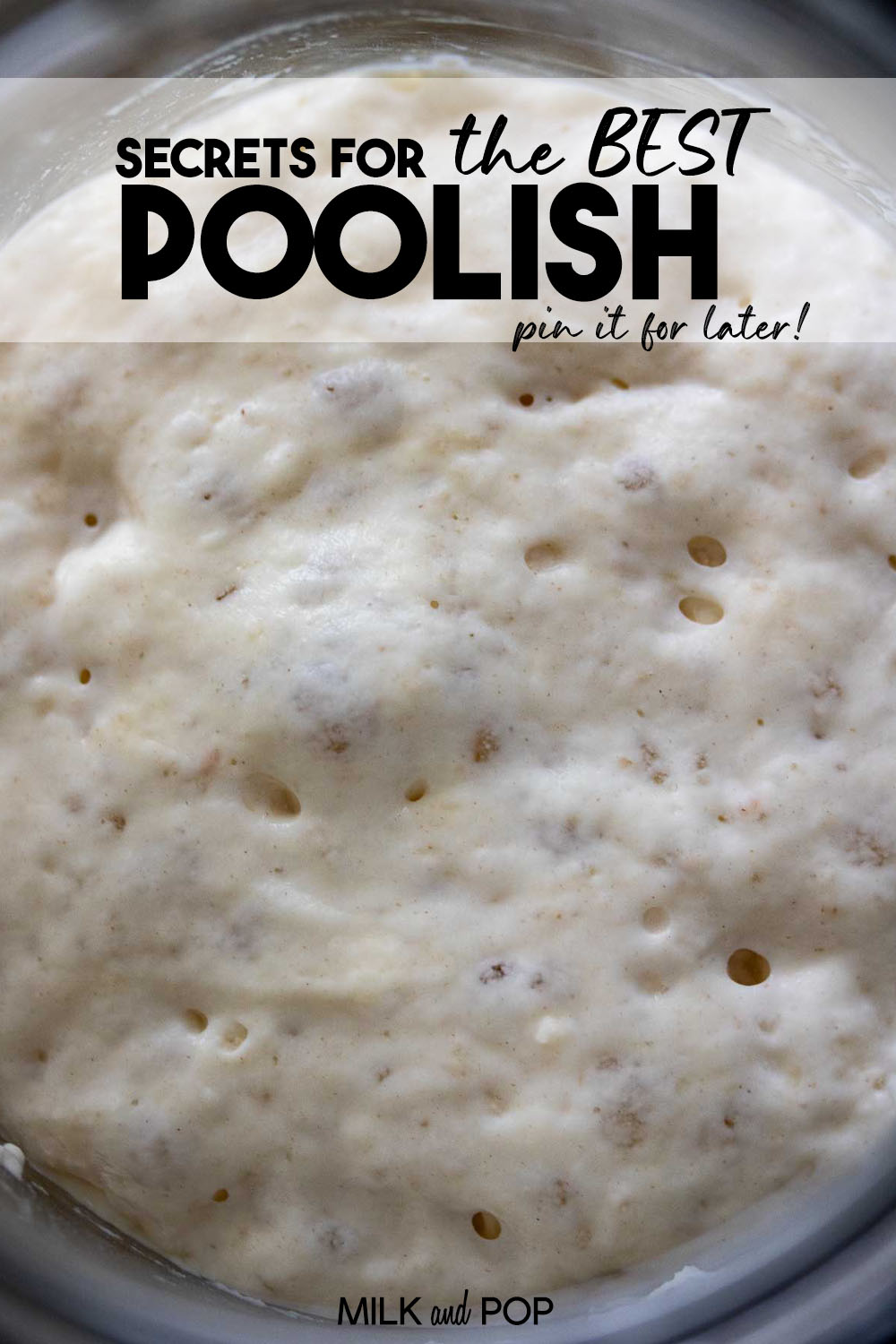 How to make a poolish starter for bread and pizza – Milk and Pop
