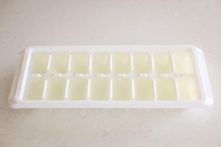 Lemonade Ice Cubes (With Lemonade) – Milk and Pop