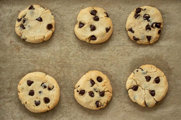 Milk Powder Chocolate Chip Cookies (No-Chill) – Milk and Pop