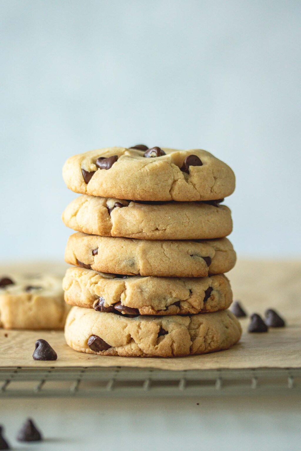 Milk Powder Chocolate Chip Cookies (No-Chill) – Milk and Pop
