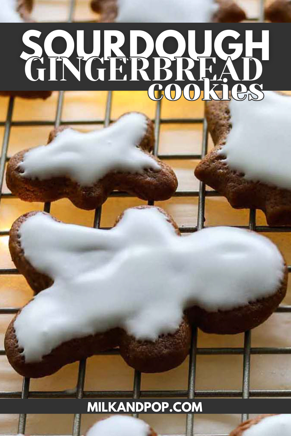 Sourdough Gingerbread Cookies – Milk and Pop